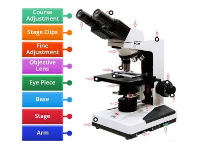 Microscope - Teaching resources
