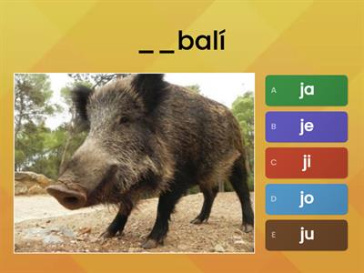 Sílabas ja je ji jo ju - Recursos didácticos