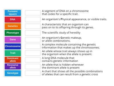 Genetics - Teaching resources
