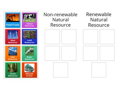 Natural and artificial resources - Recursos didácticos