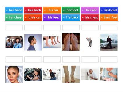 Her his him - Teaching resources