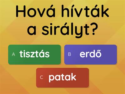 Irodalom 2 osztály sirály a király - موارد تعليمية