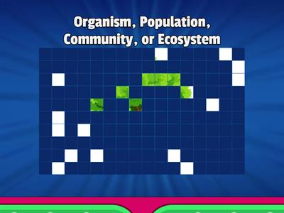 Levels of organization - Teaching resources