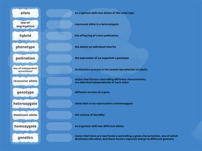 Mendel genetics - Teaching resources