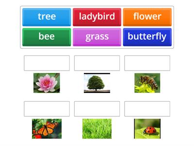 Spring wordwall - Materiały dydaktyczne