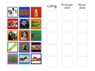 Alive dead or never alive - Teaching resources