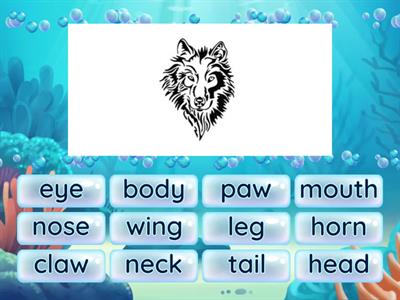 Animals - Teaching resources