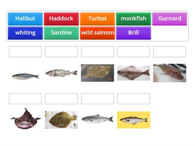 Fish - Teaching resources
