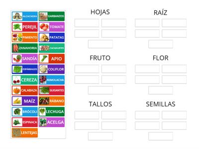 Partes comestibles de las plantas - Recursos didácticos