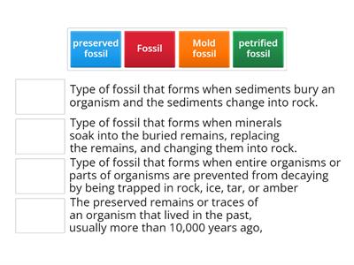 Fossils - Teaching resources