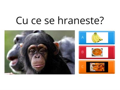 Scheletul animalelor - Resurse didactice