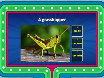 Insects - Recursos didácticos