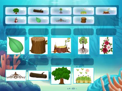 Kg2 - Teaching resources