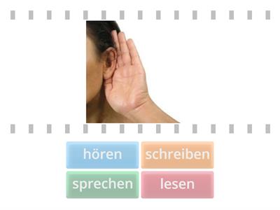 Sich verben - Teaching resources