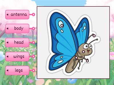 Butterfly - Teaching resources