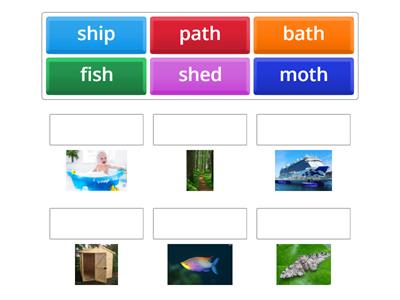 Rwi - Teaching resources