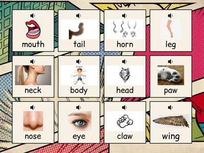 Animals - Teaching resources