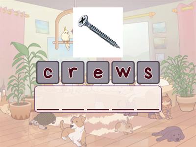 Str scr spl squ spr - Teaching resources