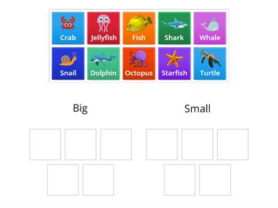 Vocabulary Under the sea - Recursos didácticos