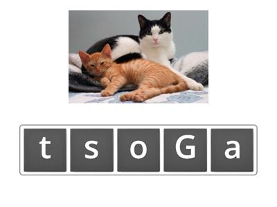 Fonema g suave - Recursos didácticos