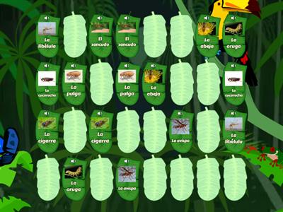 Insectos sumas - Teaching resources
