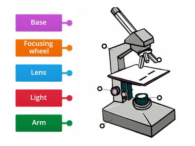 Microscope - Teaching resources