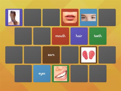 Face and body - Учебные ресурсы