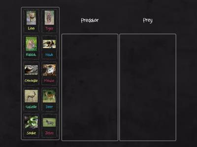 Predator and prey - Teaching resources