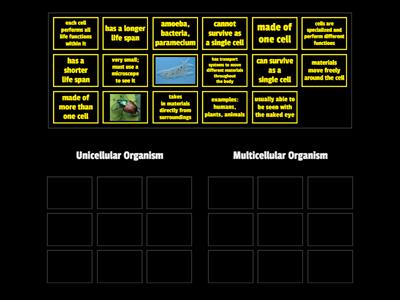 Unicellular and multicellular organisms - Teaching resources