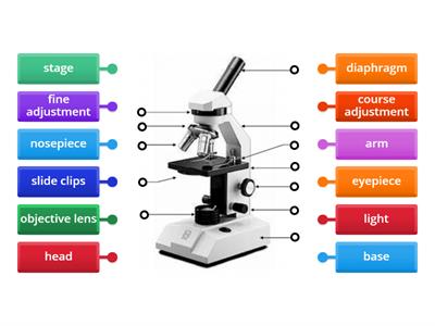 Microscope - Teaching resources