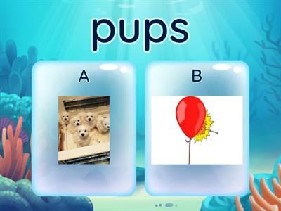 Ufli - Teaching resources