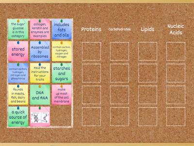 Biomolecules - Teaching resources