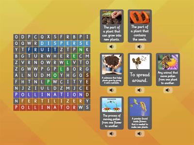 Pollination - Teaching resources