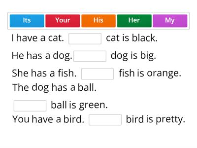 My her his your its our their - Учебные ресурсы