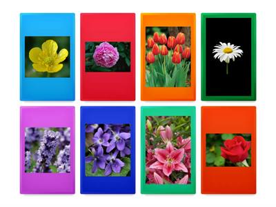 Flowers - Teaching resources
