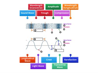 Transverse and longitudinal waves - Teaching resources