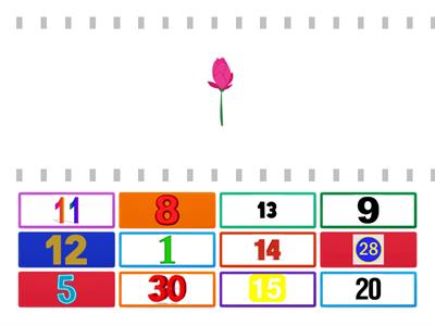 Numeros hasta el 30 - Recursos didácticos