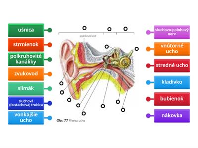Biológia - Učebné zdroje