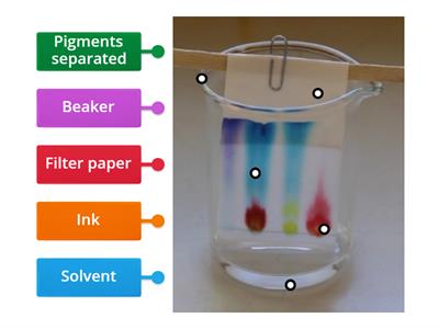 Chromatography - Teaching resources