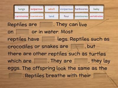 Mammals reptiles amphibians fish birds - Recursos didácticos