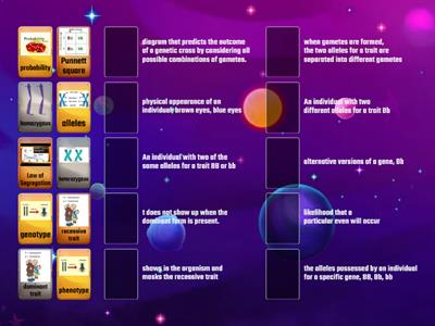 Mendelian inheritance - Teaching resources