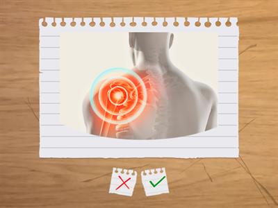 Ache - Teaching resources