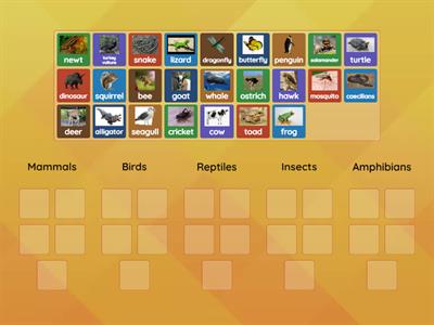 Amphibians - Teaching resources