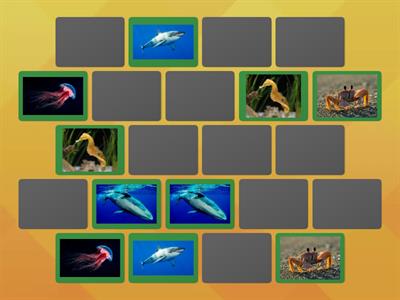 Sea animals game - Recursos didácticos