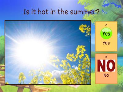 Yes no question - Teaching resources