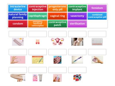 Contraception - Teaching resources