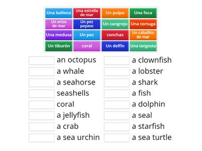Sea creatures - Teaching resources
