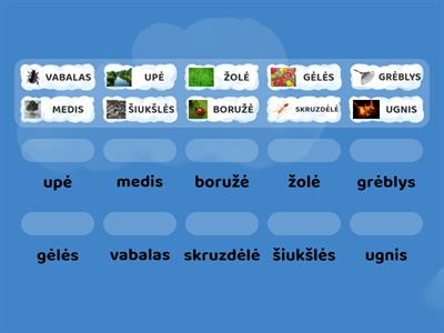 Raidės - Mokymo ištekliai