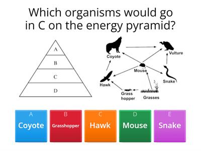Pyramids - Teaching resources