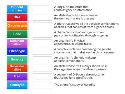 Genetics - Teaching resources